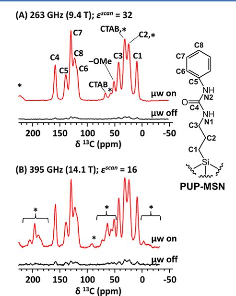 Figure 1 From Dynamic Nuclear Polarization Solid State Nmr In