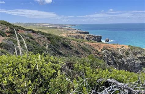 10 Best Hikes And Trails In Sintra Cascais Nature Park Alltrails