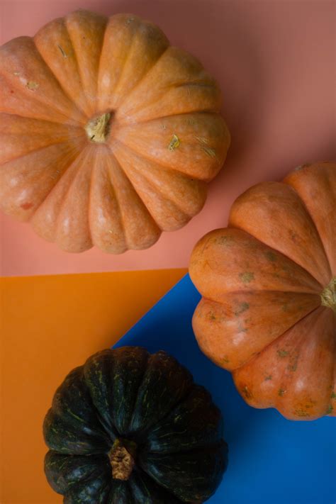 무료 이미지 호박 할로윈 잔디 수확 겨울 스쿼시 칼 바자 주황색 쑥쑥 식물 야채 식품 아직도 인생 사진 채식주의 자 음식 과일 생기게 하다