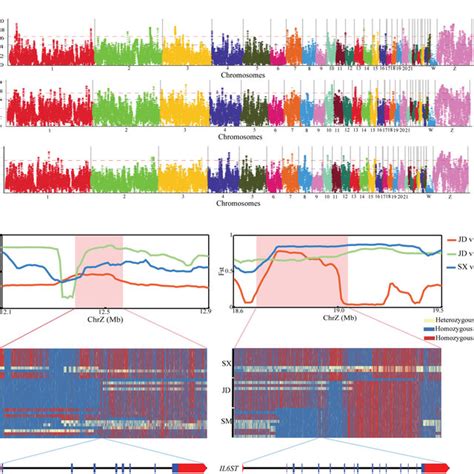 Summary Of Variation Detection A Venn Diagrams Of Unique And Shared Download Scientific
