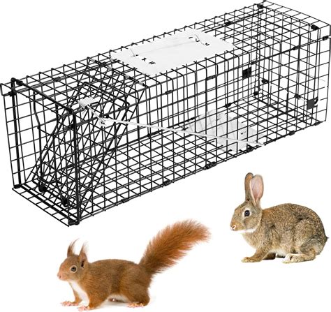 Amazon.com : 24” Humane Animal Trap Live Animal Trap Cage for Squirrels Small Stray Cats Rabbits ...