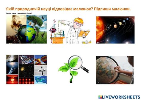 Науки worksheet | Live Worksheets