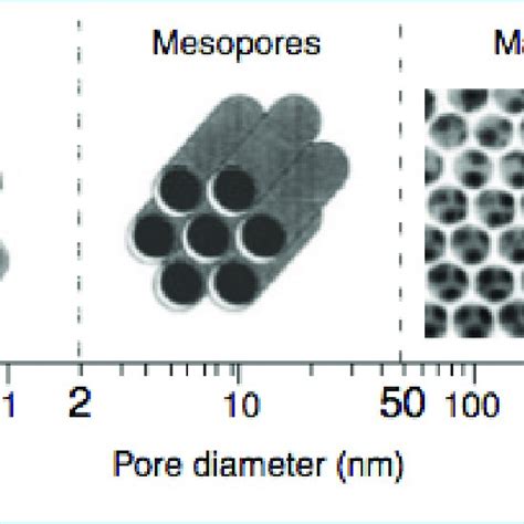16 Rotational Correlation Time Of 16 Dse In Ctab Fsn 100 Mixtures As A
