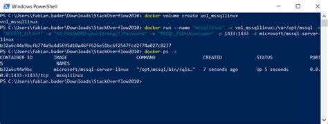 Linux Sql Server 2017 Auf Docker Mit Der Stack Overflow Demo Datenbank Cloudbrothers