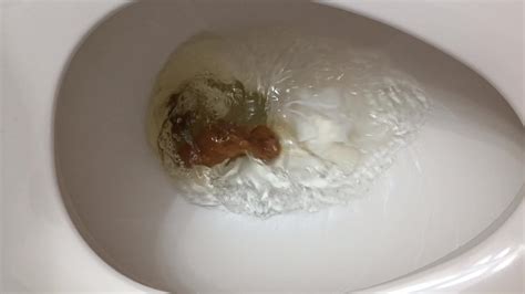 Two Log Flush ThisVid