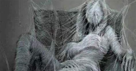 Superhero Sex Looking For Any Others Imgur