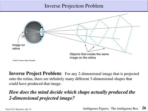 ppt localization of function example of face perception then gestalt