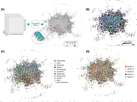 figure 1 from precision dynamical mapping using topological data