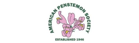 Aps Special Projects Program