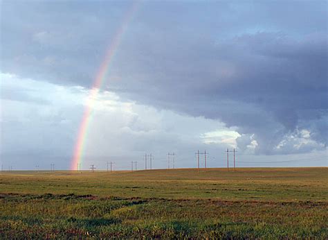 Dark Field Background Images Hd Pictures And Wallpaper For Free Download Pngtree