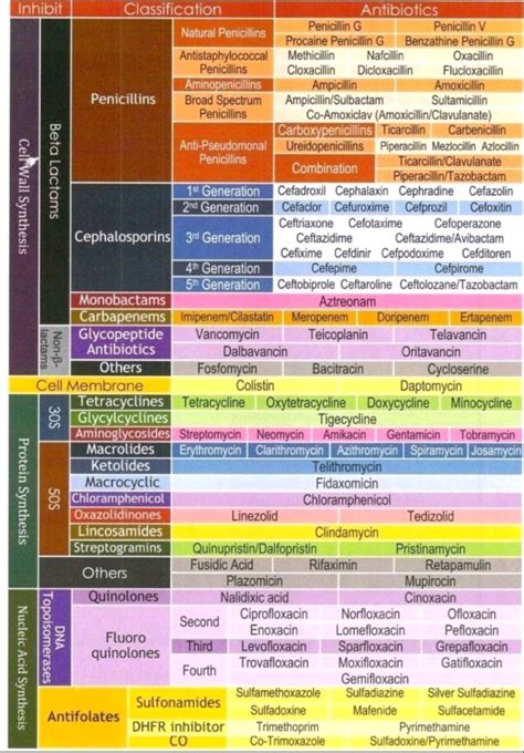 Brandon Fonyuy On Linkedin The Antibiotic Chart