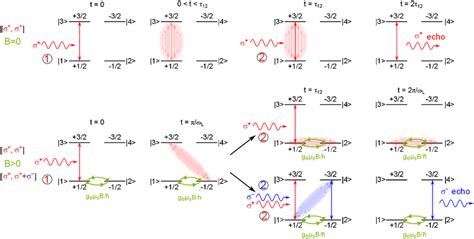 Color Online Schematic Representation Of Photon Echo In The Download Scientific Diagram