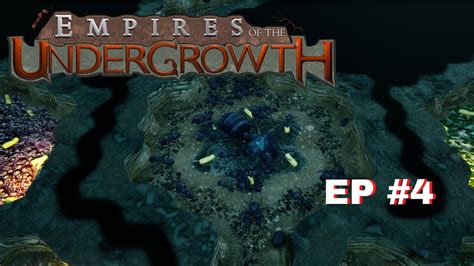 Empires Of The Undergrowth Formicarium Challenge 1 Round 2 Youtube