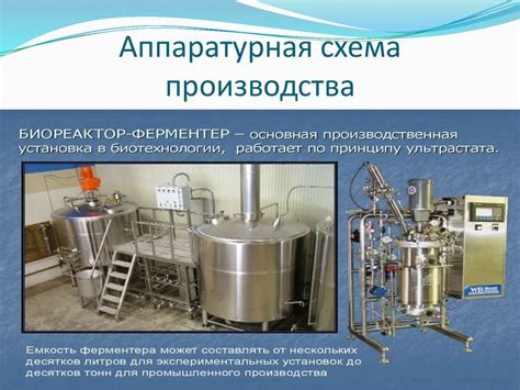 Получение пищевого белка биотехнологическим способом - презентация онлайн