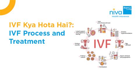 Ivf Kya Hai जानें Ivf Process And Treatment In Hindi