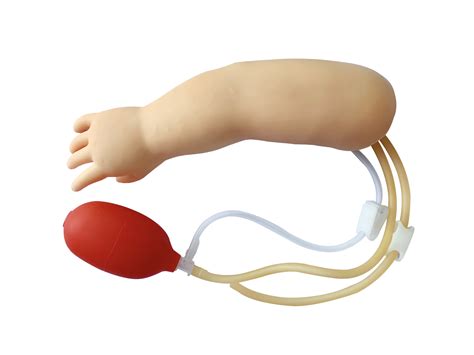 Dm Ps370s 高级婴儿动脉穿刺训练手臂 Dm Ps370s 高级婴儿动脉穿刺训练手臂