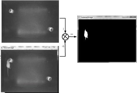 machine vision based mouse exploration identification method eureka patsnap