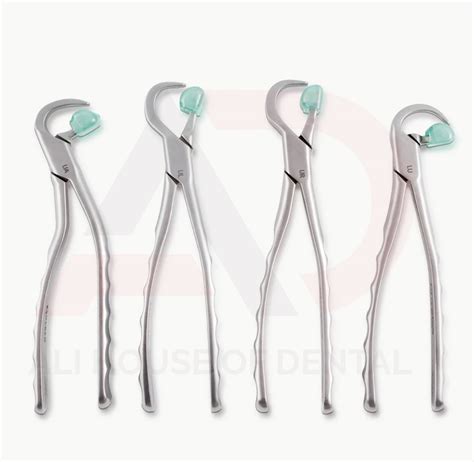 Dental Extraction Physics Forceps Ali House Of Dental