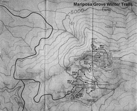 Mariposa Grove Tree Map Mariposa Grove Of Giant Sequoias Hike Guide