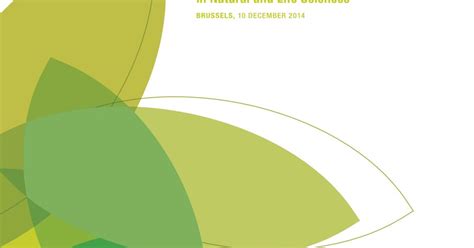 Workshop Report Computational Modelling Of Complex Spatial Structures