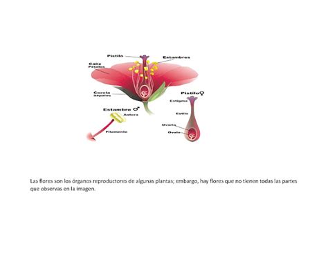 Ciencias Naturales