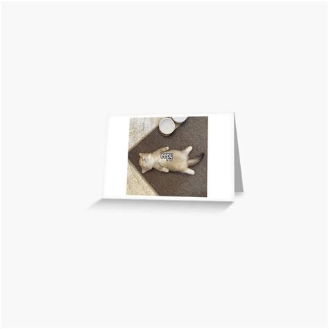 Eepy Kitten Meme Greeting Card For Sale By Yuccaroot Redbubble