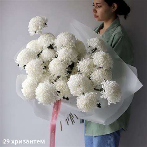 Букет из крупных белых хризантем – купить в Москве цветы с доставкой