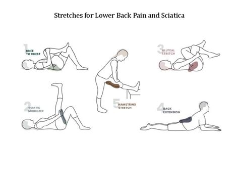 Stretches For Lower Back Pain And Sciatica Pdf