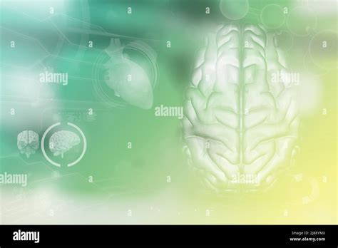 Medical 3d Illustration Human Brain Cerebrum Analyzing Concept Very Detailed Electronic