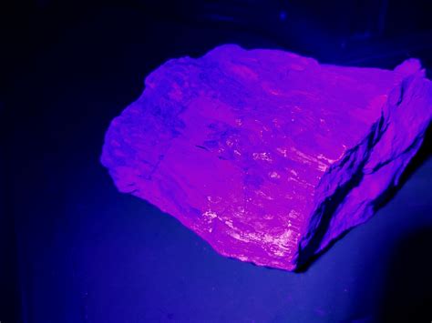 Fluorescent Fossils Under Uv Light Page 2 Questions And Answers The