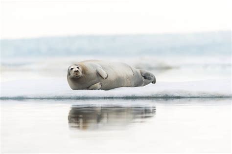 Ann Coppens Landschap Vzw