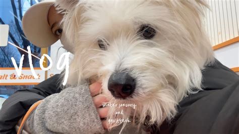 가진게 없어도 마음만은 부자 따뜻한 크리스마스 연말 브이로그🎅🏻 Youtube