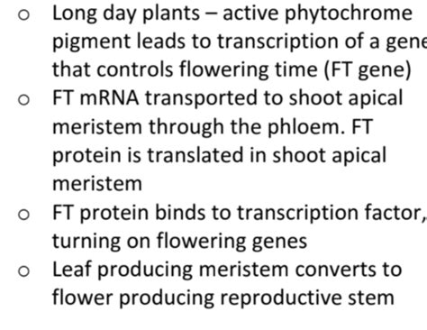 9 4 Plant Biology Reproduction In Plants Flashcards Quizlet