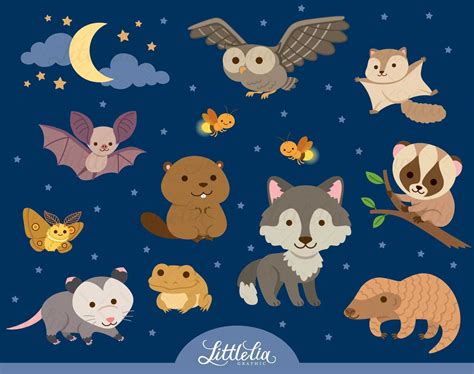 Animal Nocturno Imágenes Prediseñadas De Animales Nocturnos 22005