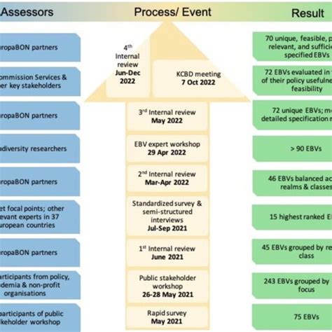 The Stepwise Methodology Of Europabons 18 Month Ebv Identification