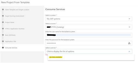 Solved Error Adding Data Service To A Project In Sap Busi Sap