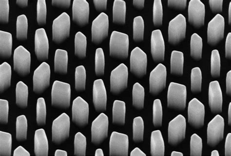 Deploying And Demonstrating Navigation Aids On The Lunar Surface Nasa Science