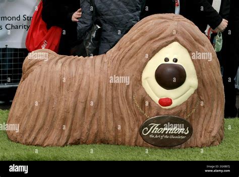How To Make A Dougal Cake