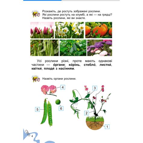 Купити книгу Я досліджую світ 1 клас Частина 2 Підручник Тетяна Гільберг Світлана