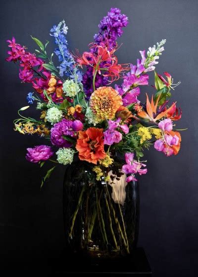 Flora Tumbex