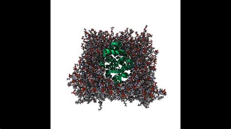 Intel Xe HP GPU With Intel OneAPI Base Toolkit Used To Compute Human Body Calcium Regulation