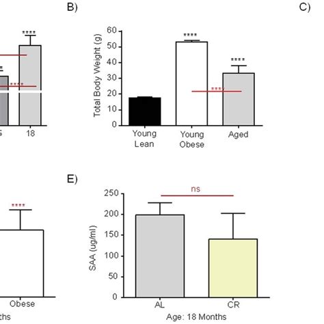 Pearsons Partial Adjusted For Race And Sex Correlation Coefficients Download Table
