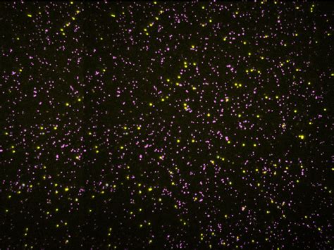 Protein Sequencing New Workflow For Top Down Protein Sequence