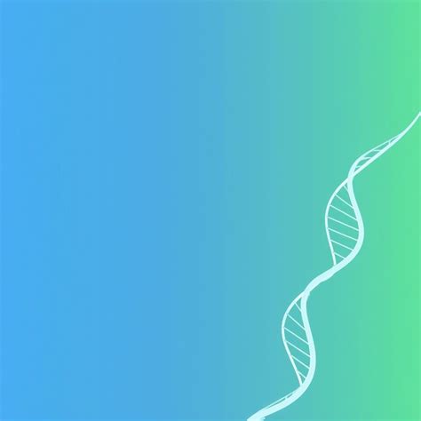 Unravel The Code Dna Helix