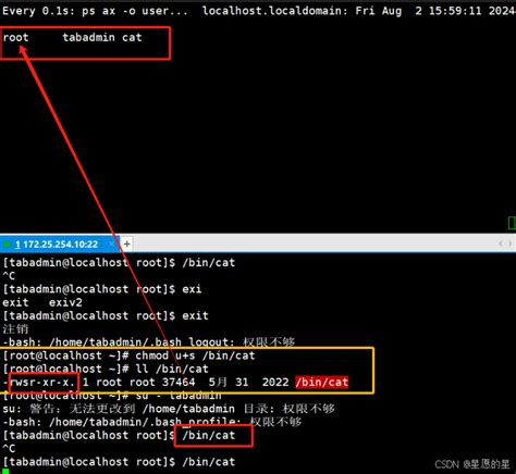Linux用户组练习linux用户和组的练习 Csdn博客