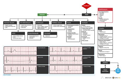 Bradikardi Acilci Net