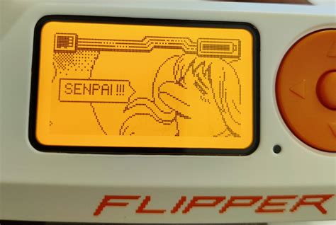 Flipper Zero X Unleashed Everything Else On Carousell