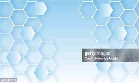 Human Evolution Graphic High Res Illustrations Getty Images