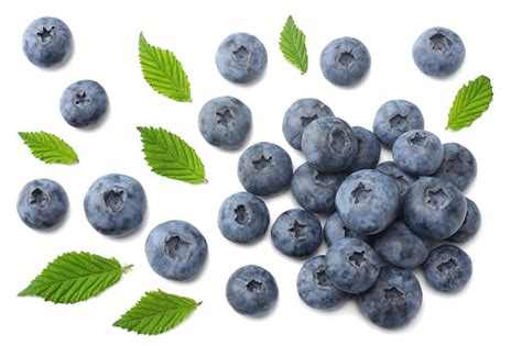 건강 한 배경입니다 잎이 흰색 배경에 고립의 블루베리 상위 뷰 0명에 대한 스톡 사진 및 기타 이미지 0명 개체 그룹 건강관리와 의술 Istock