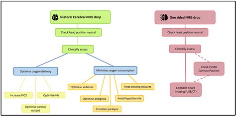 Near Infrared Spectroscopy Nirs Guideline 1072 Nhsggc